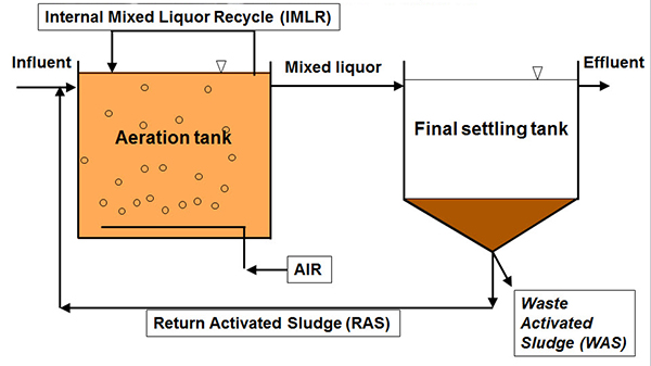 Activated Sludge | Three Steps to Improve Your Process Efficiency